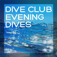 Dive Club Evening Dives - Ocean View Diving Services | Sussex