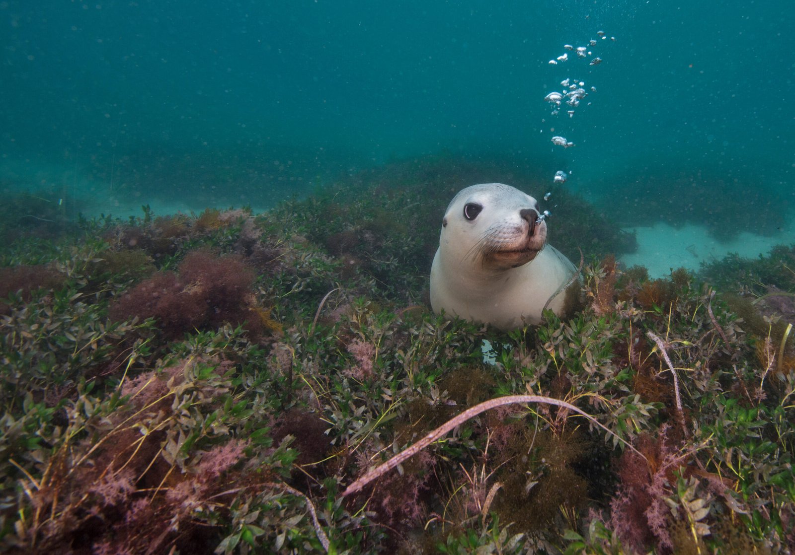 Contact us - Ocean View Diving Services | Sussex