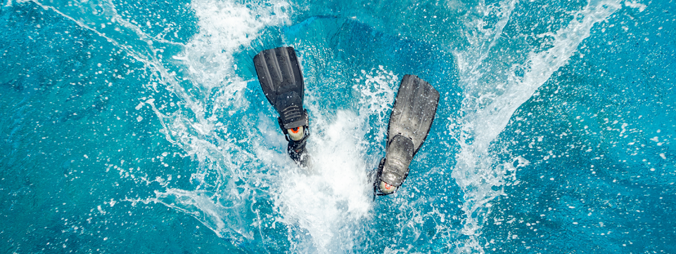 PADI Divemaster Download Page - Ocean View Diving Services | Sussex